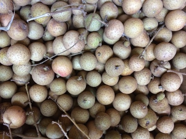 Longan, Langsat and Similar – Kim's Garden