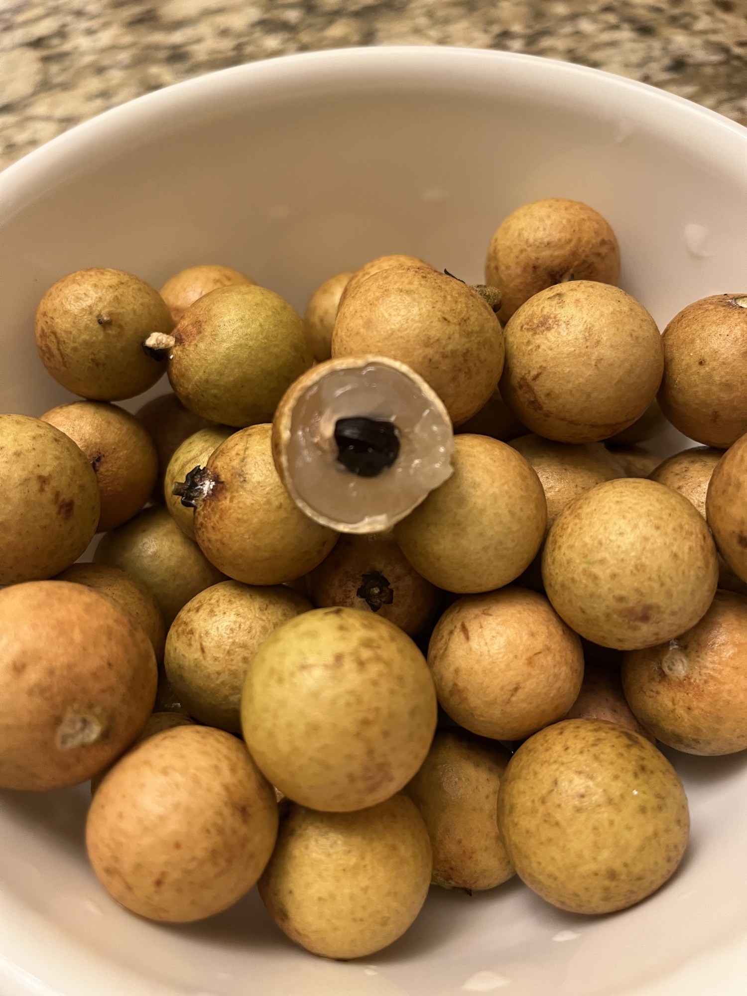 Longan, Langsat and Similar – Kim's Garden